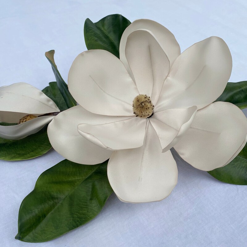 Magnolia Dried Flowers - Etsy