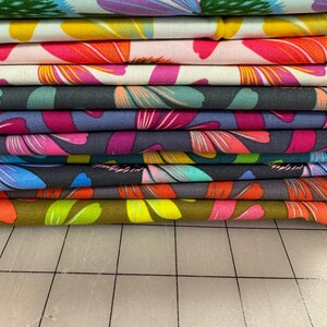 Special 11 Yard Bundle Anna Maria Horner Echinacea Cotton Fabric ...