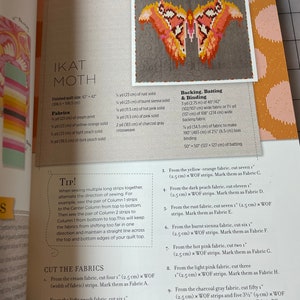 Book: Quilt With Tula Pink and Angela Waters 17 Quilts and 47 Quilting ...