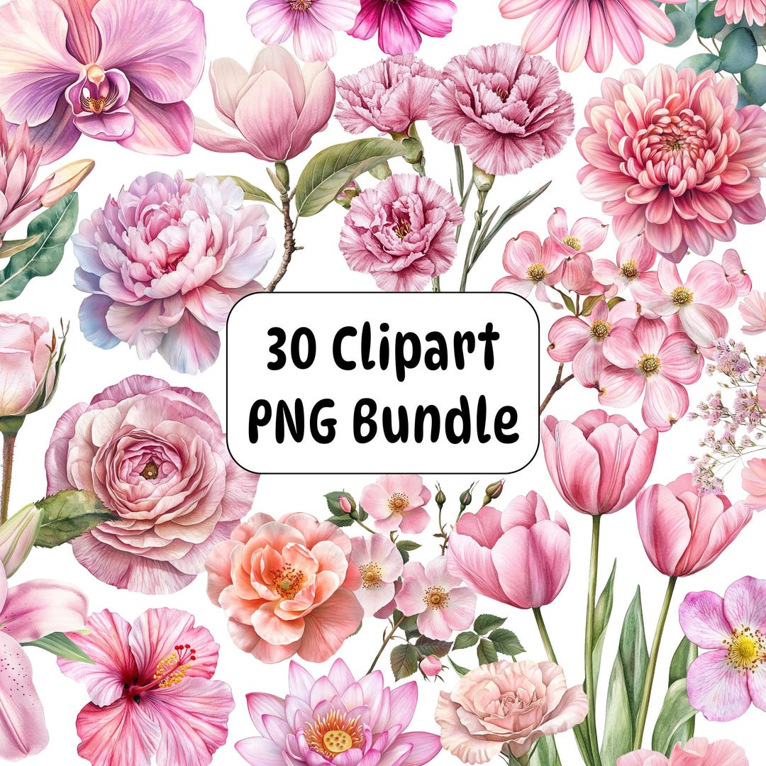 Pink Watercolor Flower Clipart Bundle, Floral PNG, Commercial Use - Etsy