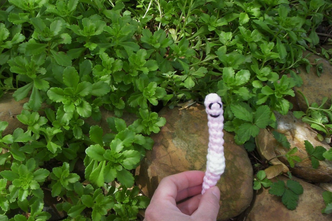 Expectant Wormie - Etsy