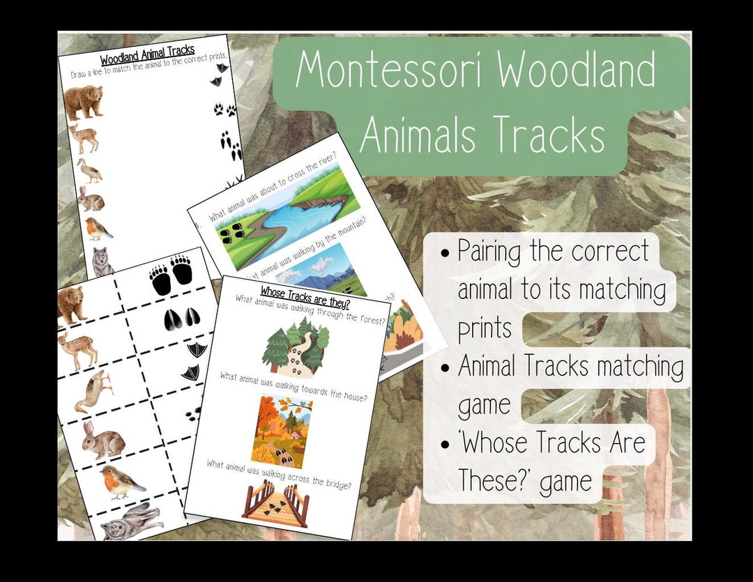 Montessori Woodland Animal Print Activities - Etsy
