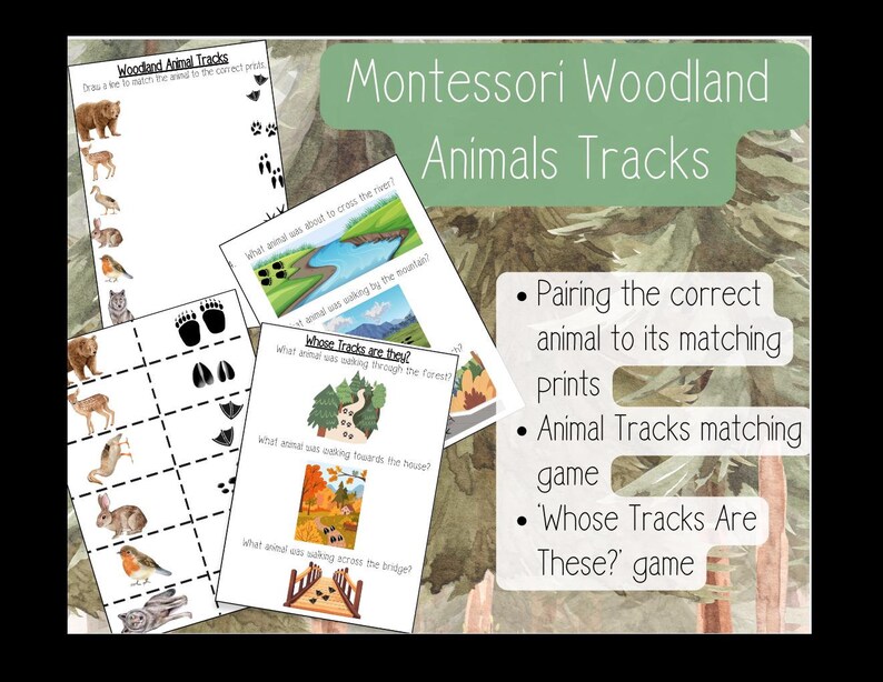 Montessori Woodland Animal Print Activities - Etsy