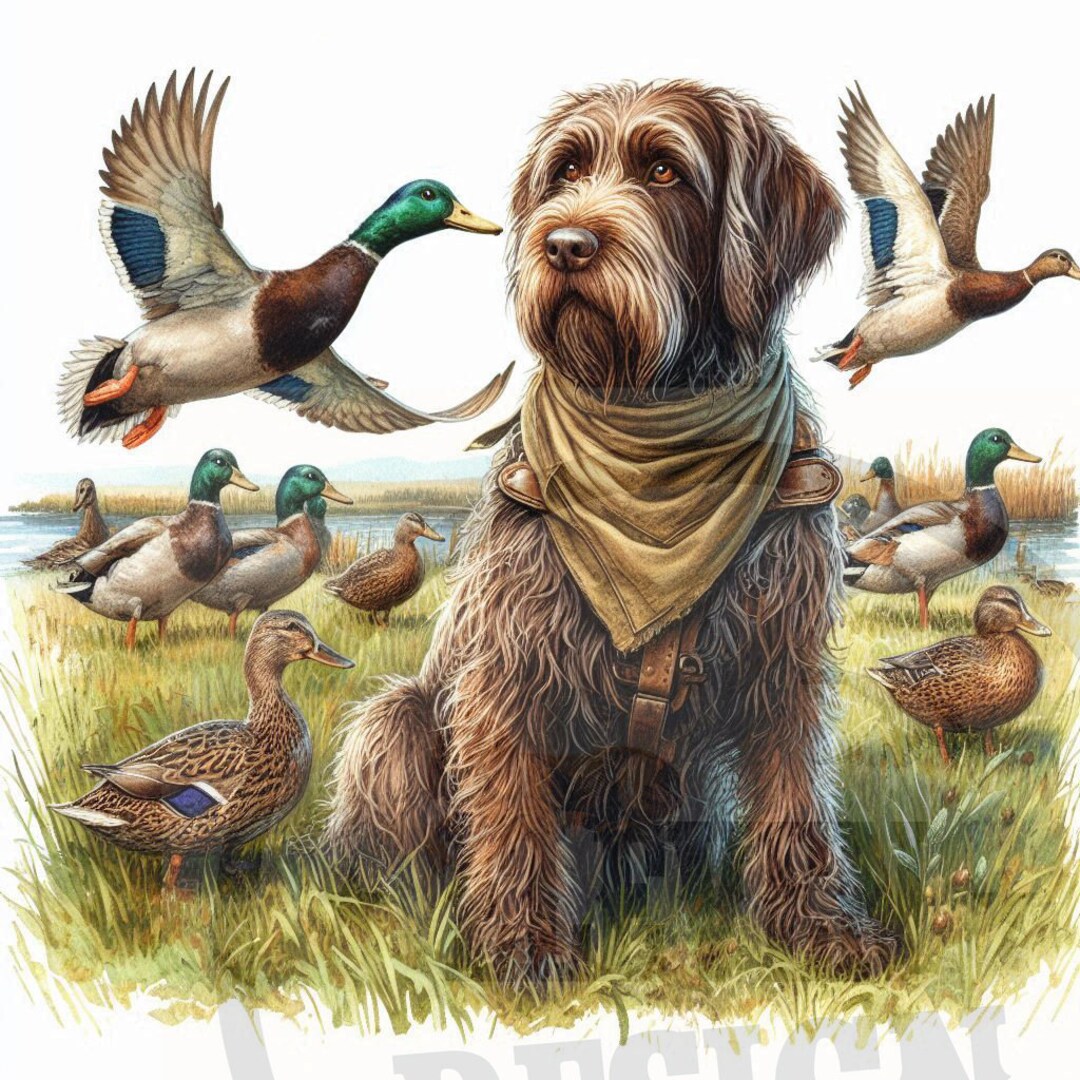 Dog Flying Ducks Sublimaiton Png - Transparent Background High-quality ...