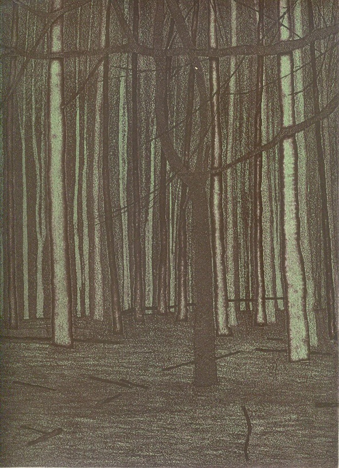 FOREST PRIMEVAL Original 2 Color Hand Printed Zinc Plate Etching of ...