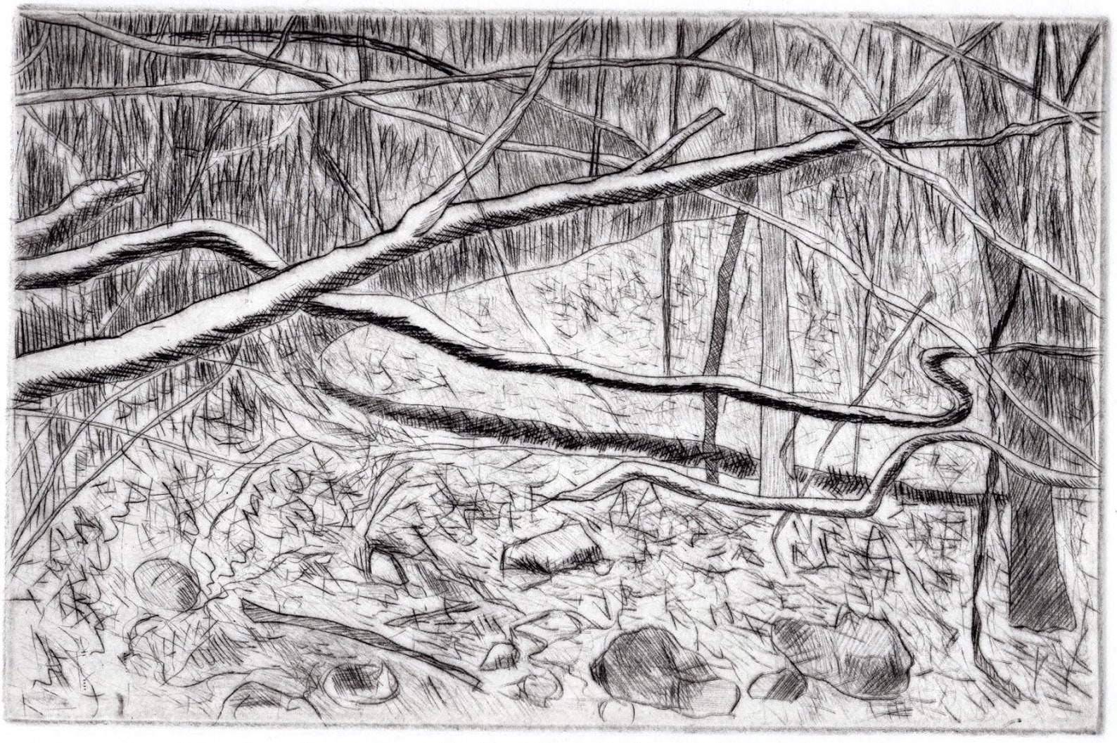 Laurel Ridge Trail Original Drypoint Intaglio Print 2021 - Etsy