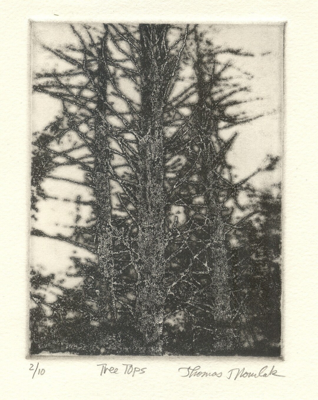 TREE TOPS Photo Etching Pencil Signed and Numbered - Etsy