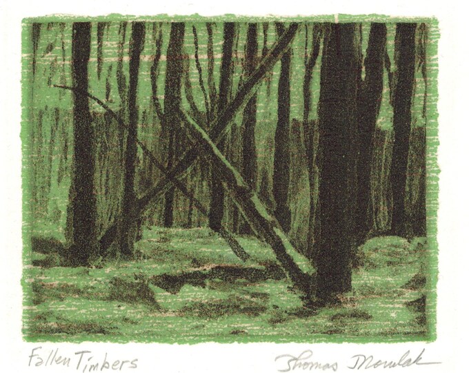 Fallen Timbers Etching With Chine Colle - Etsy