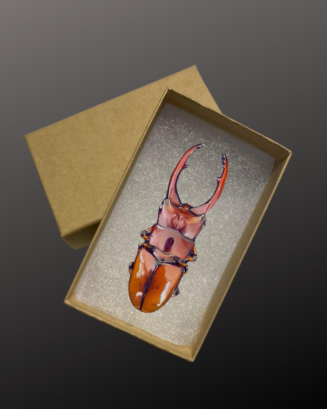 Real Stag Beetle Pin or Brooch - Etsy