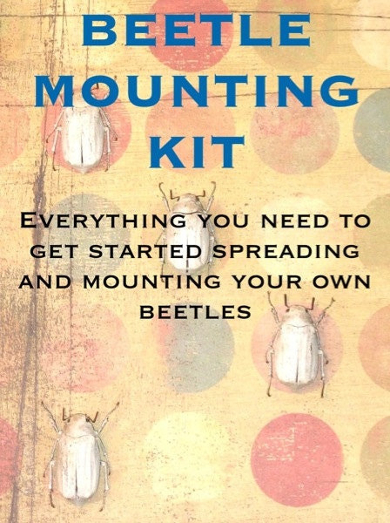 Beetle Mounting Kit for Beginners With Real Beetles and Tools - Etsy