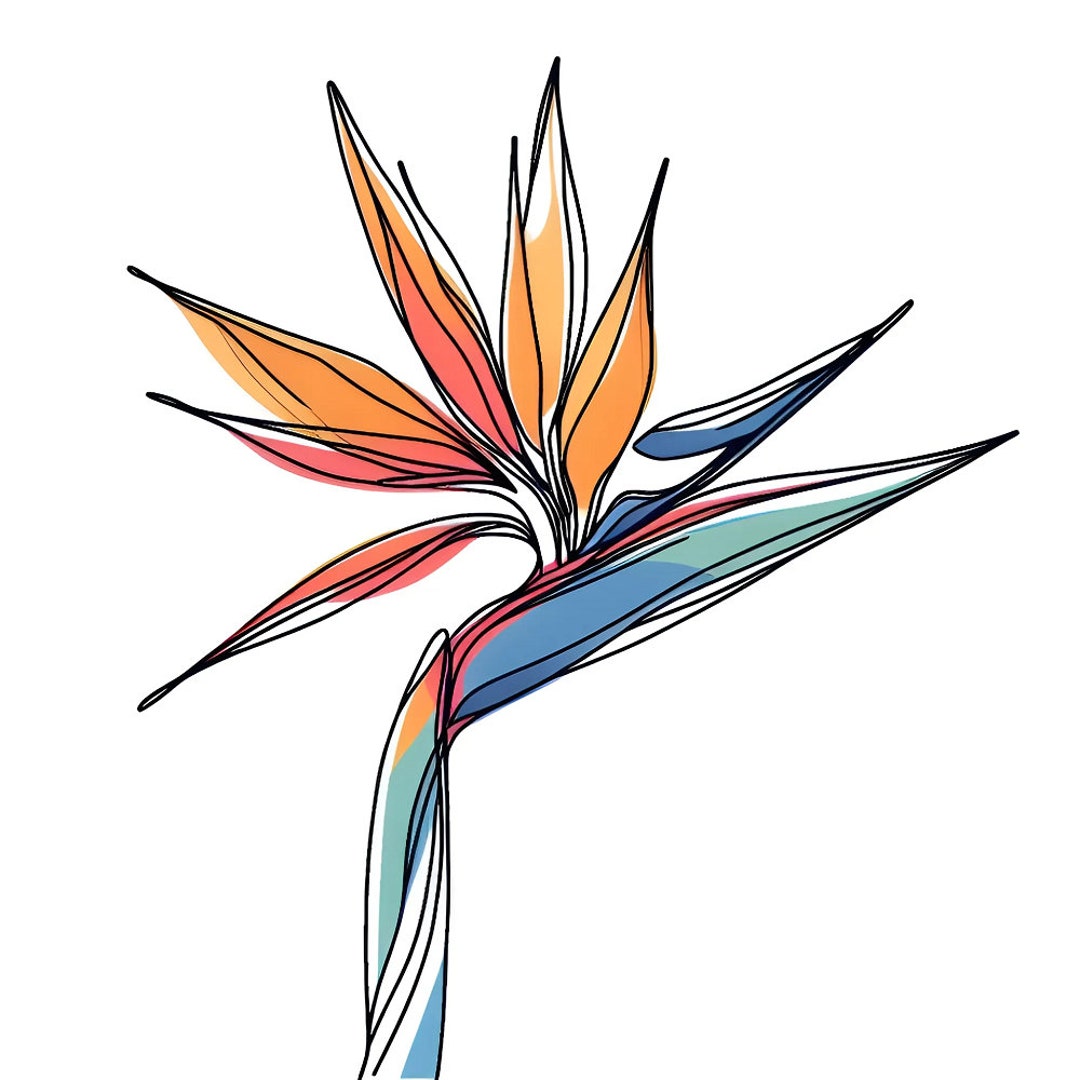Strelitzia Reginae Art Print | Strelitzia Reginae Line Drawing | Minimalist Poster |one Line Art ...