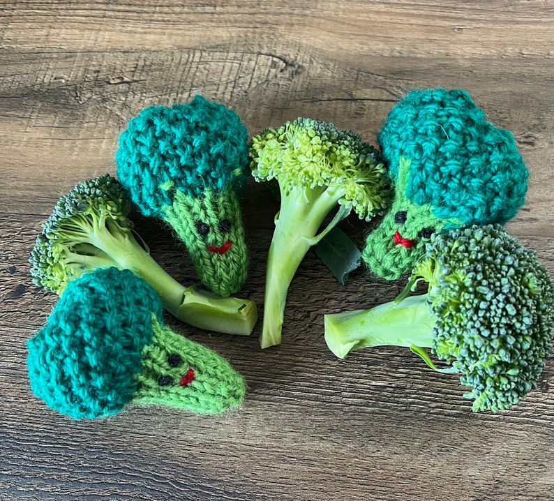 Broccoli Florets pixies Plush Toy Play Food Natural Plushies Handknit ...