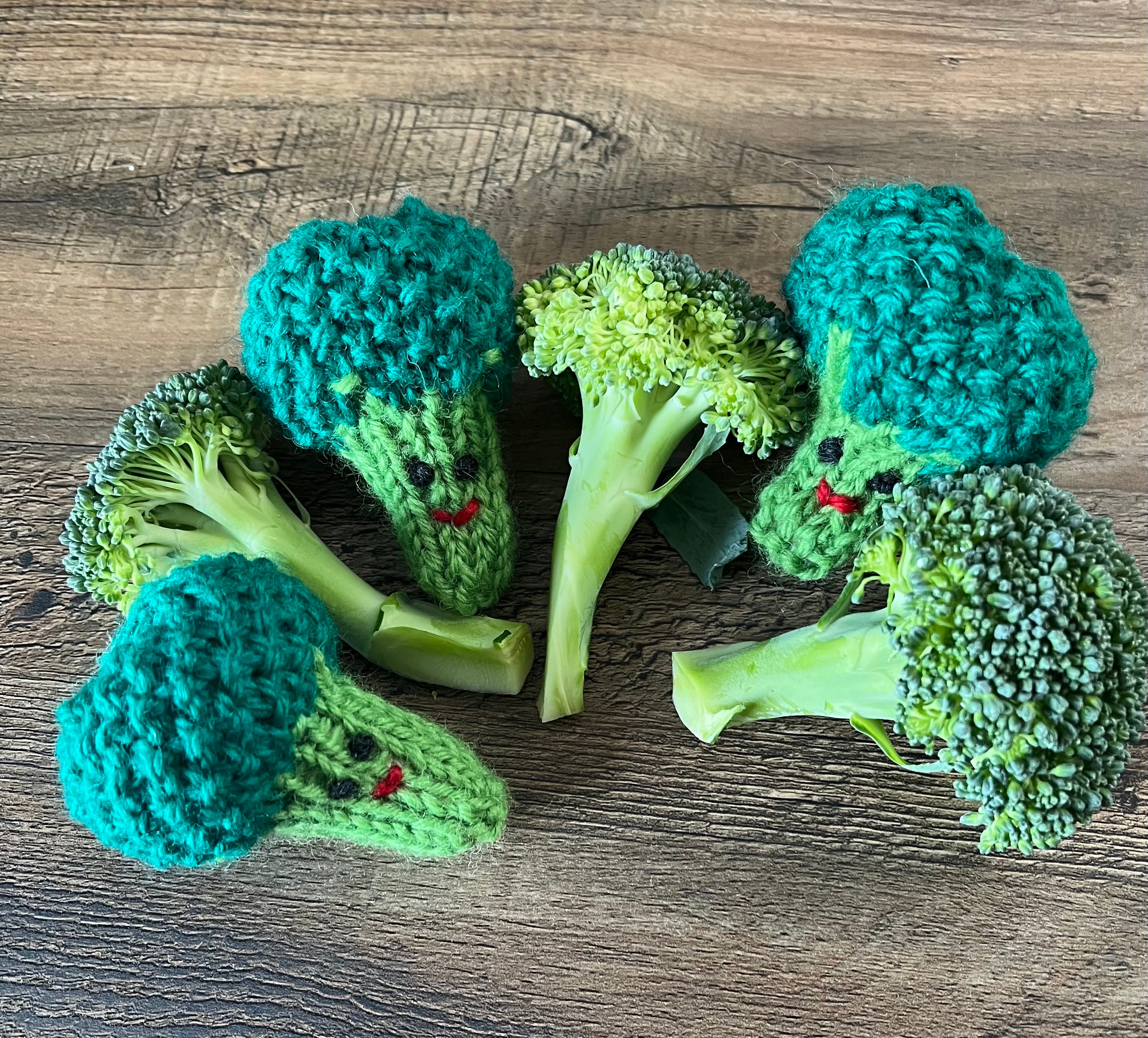 Broccoli Florets pixies Plush Toy Play Food Natural Plushies Handknit ...