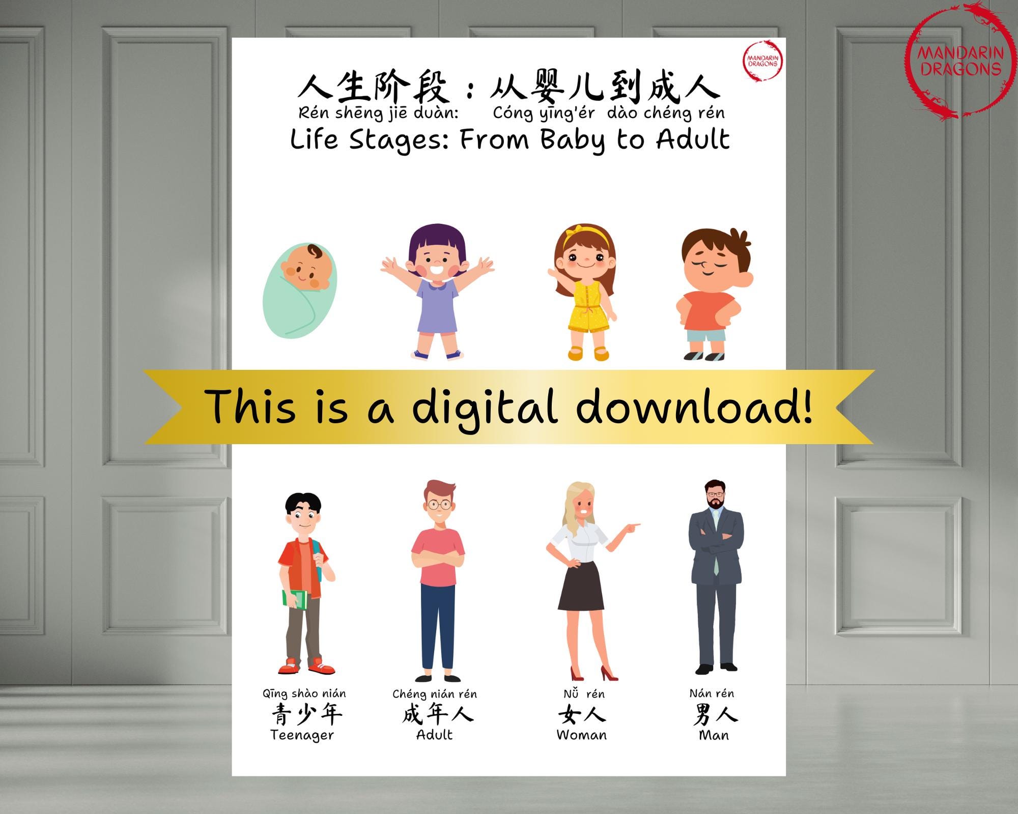 Mandarin Chinese Learning Poster - Life Stages. Simplified Mandarin ...