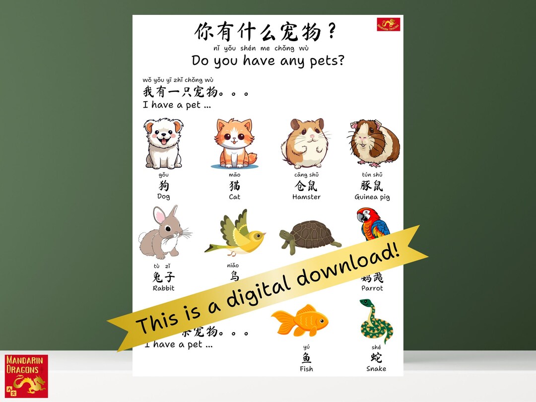 Chinese Learning Poster - Do You Have a Pet? Simplified Mandarin ...