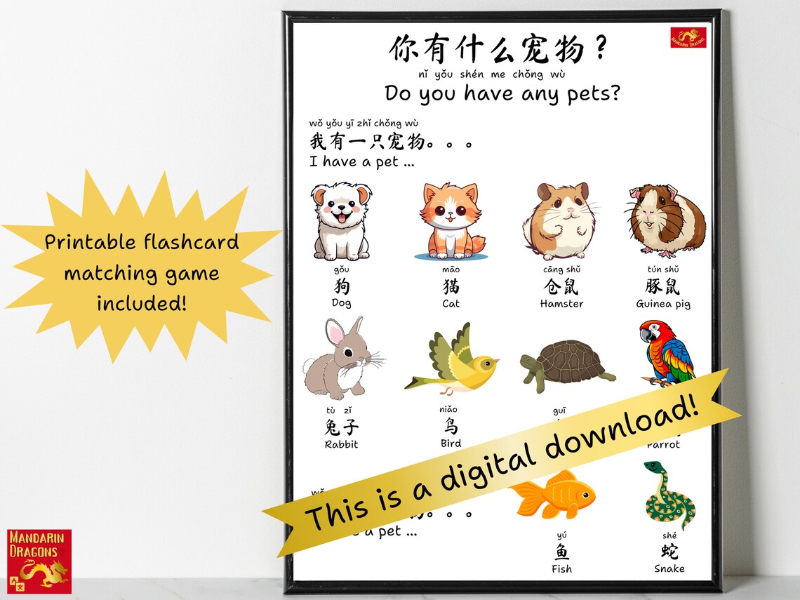 Chinese Learning Poster - Do You Have a Pet? Simplified Mandarin ...