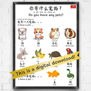 Chinese Learning Poster - Do You Have a Pet? Simplified Mandarin ...