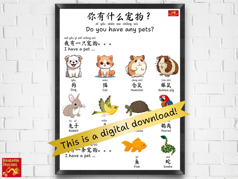 Chinese Learning Poster - Do You Have a Pet? Simplified Mandarin ...