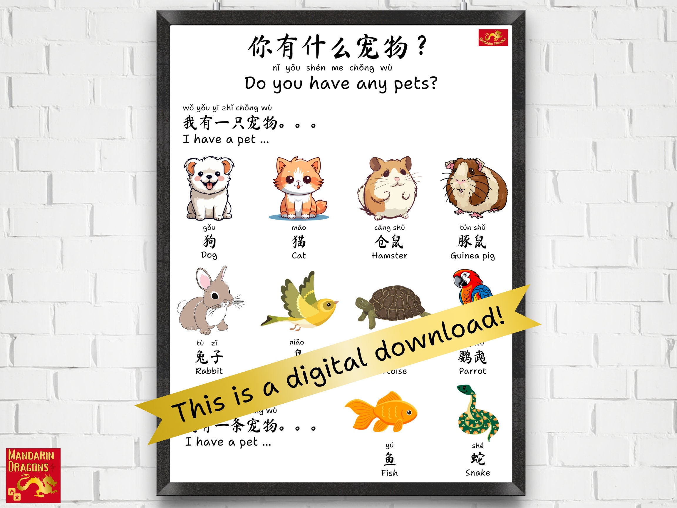 Chinese Learning Poster - Do You Have a Pet? Simplified Mandarin ...