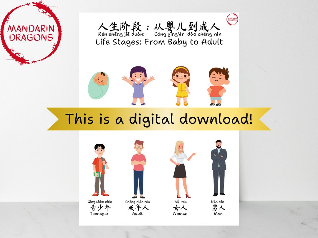 Mandarin Chinese Learning Poster Life Stages. Simplified Mandarin ...