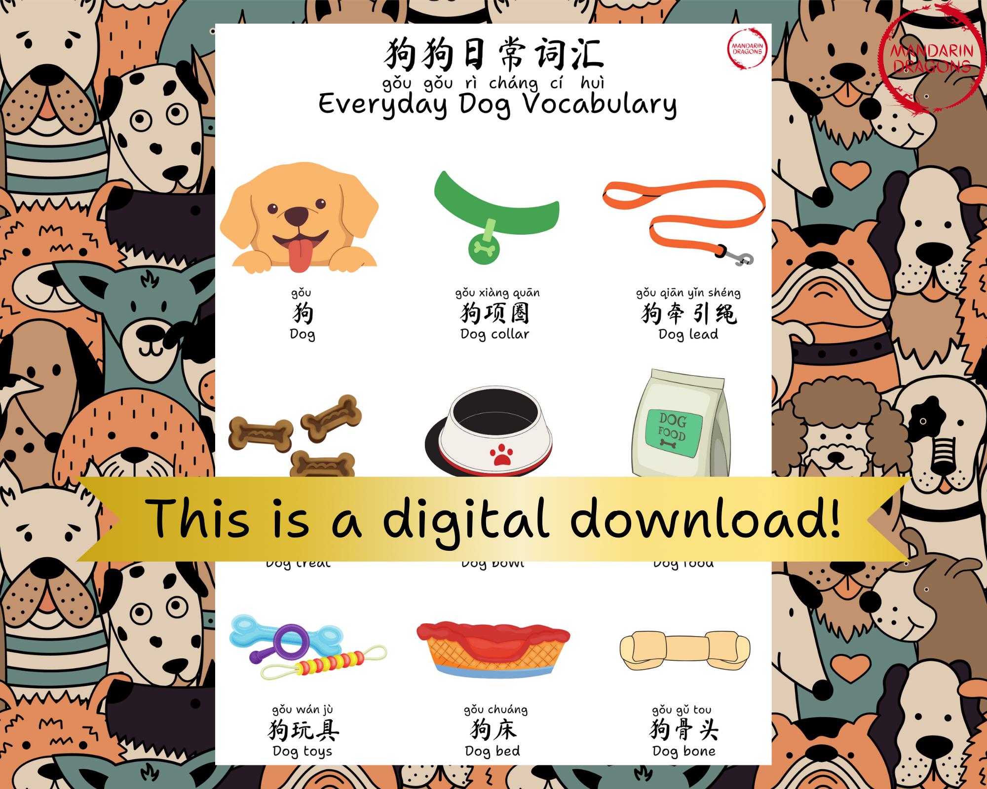 Mandarin Chinese Poster - "everyday Dog Vocabulary" Printable ...