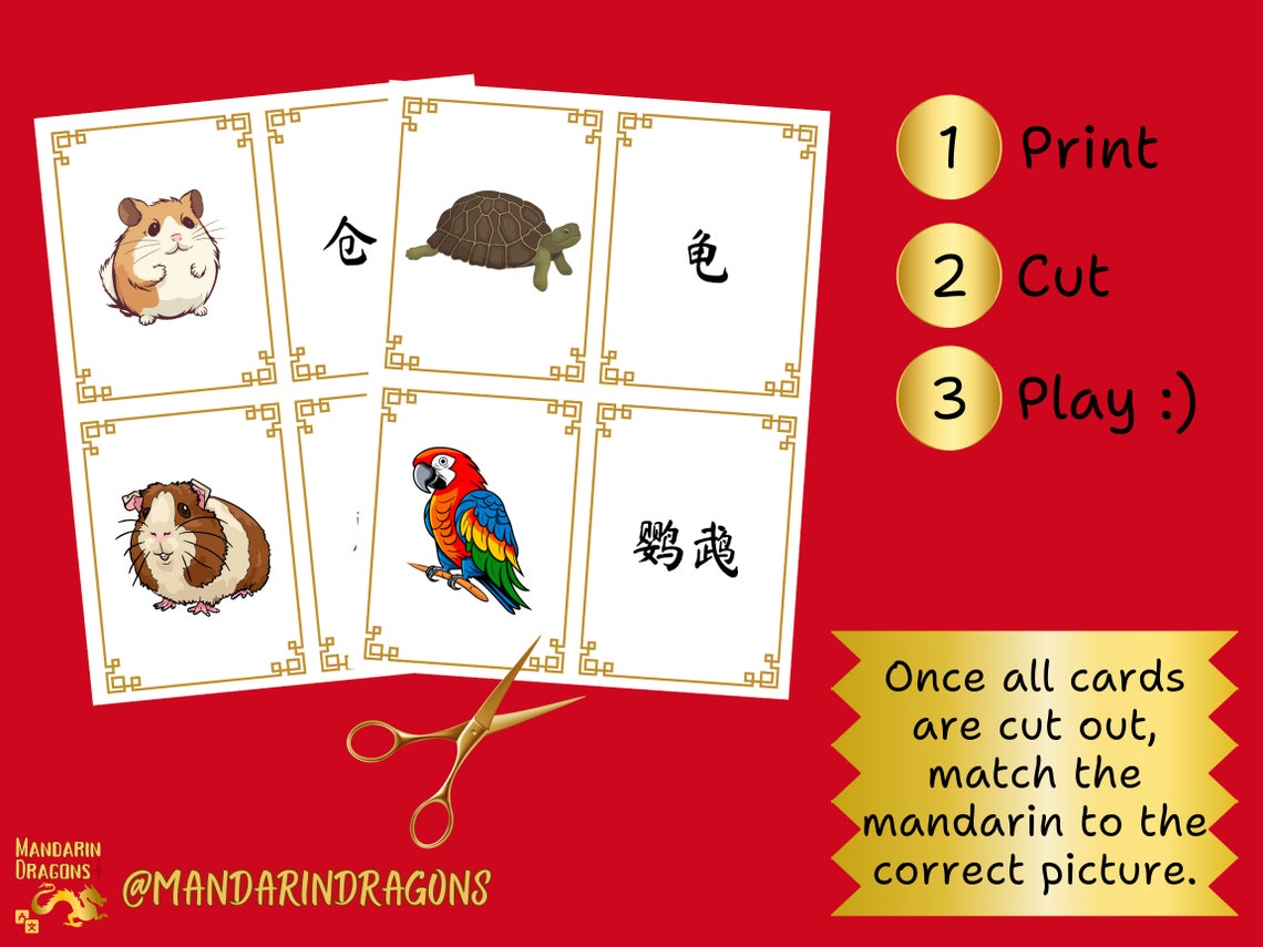 Chinese Learning Poster - Do You Have a Pet? Simplified Mandarin ...