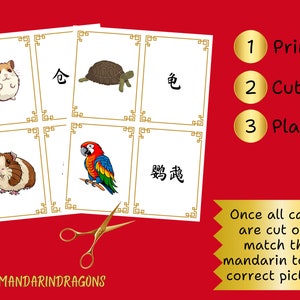 Chinese Learning Poster - Do You Have a Pet? Simplified Mandarin ...