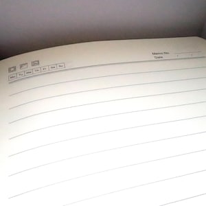 Valkyrie, Norse ,viking, Pagan, Art ,faux Leather Lined Diary Notebook ...