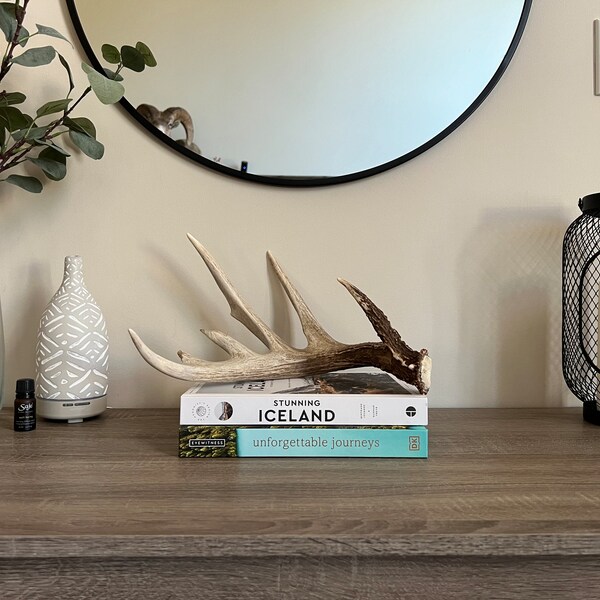 Antler Decor - Etsy