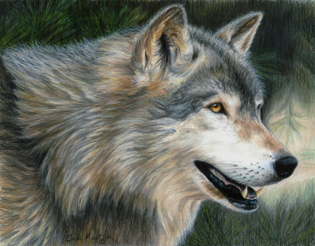 Wolf Art TIMBER WOLF Original Artwork by Carla Kurt - Etsy