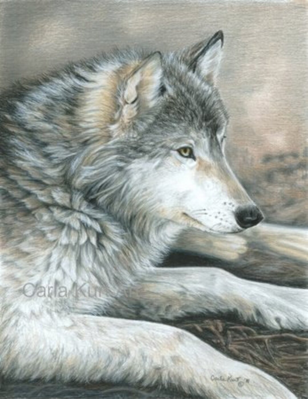 Wolf Art CALM WOLF Print by Carla Kurt 11 X 14 - Etsy