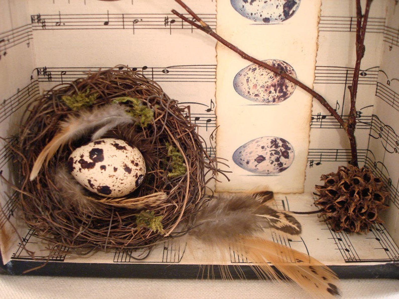 PDF Bird Nest Assemblage Tutorial No Shipping Cost - Etsy
