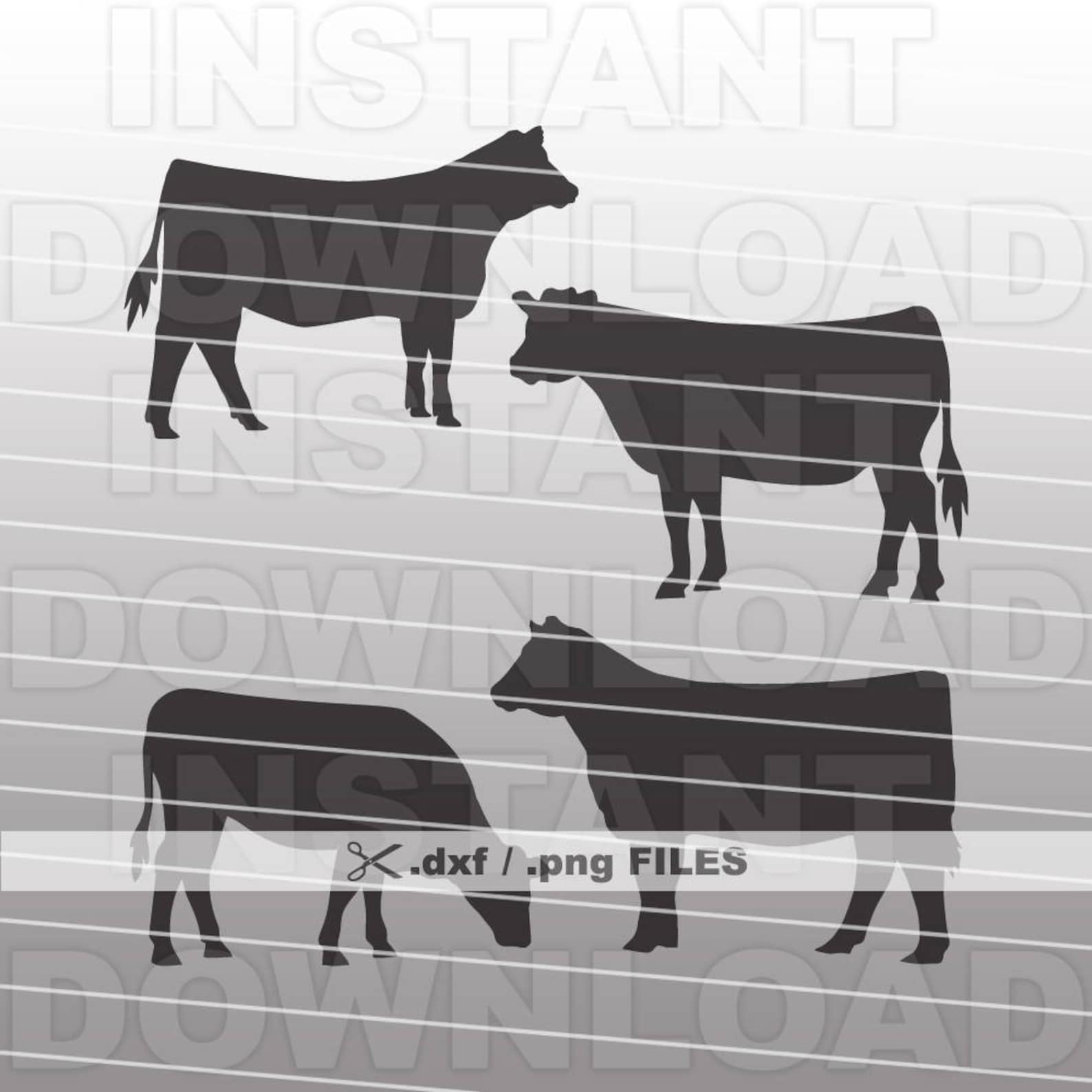 Show Heifer DXF Livestock DXF DXF File vector Art - Etsy