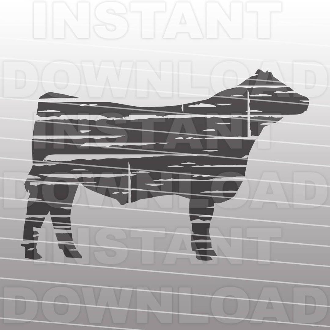 Distressed Show Steer SVG File,bull Svg,cow Svg,livestock SVG Shabby ...