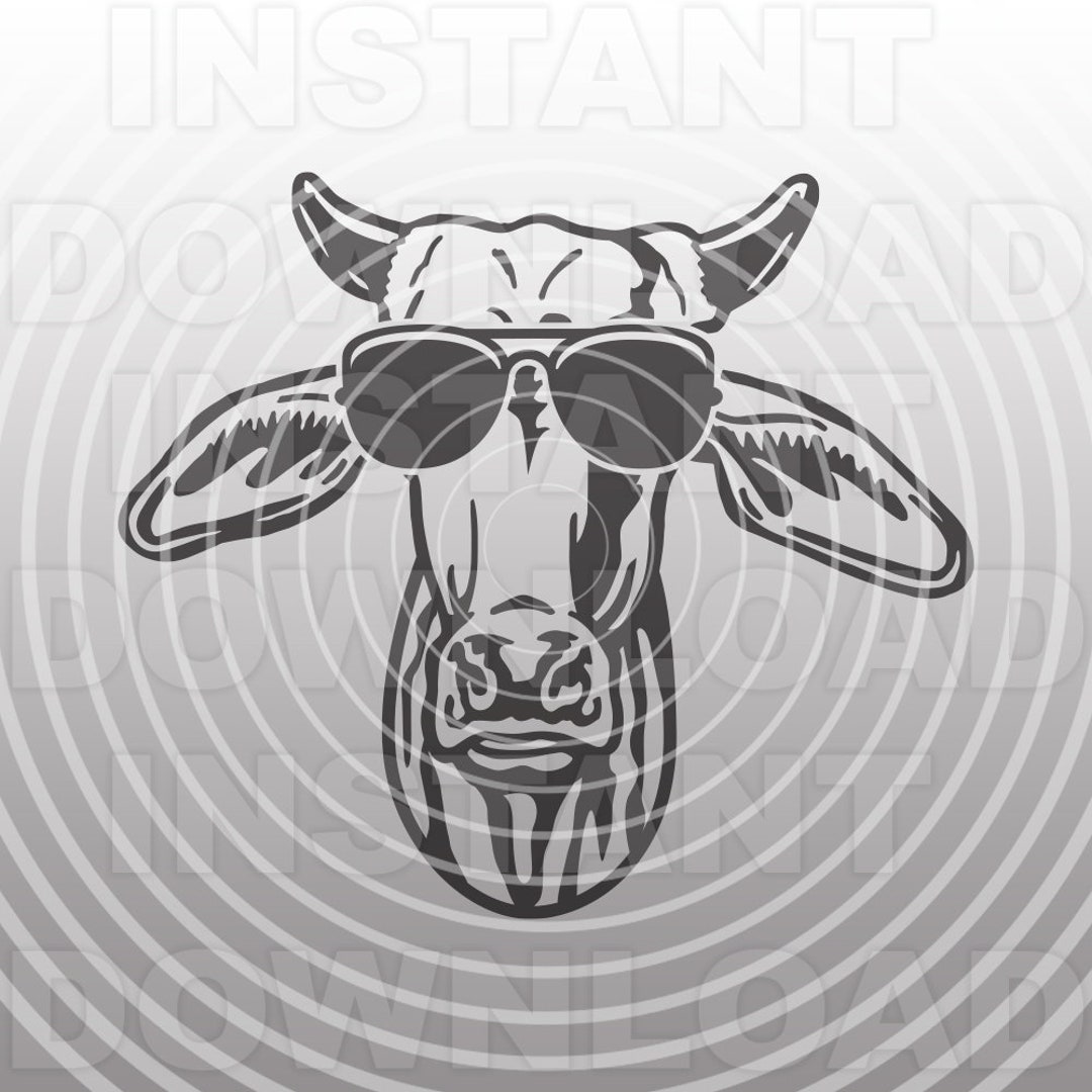 Brahman Bull With Sunglasses Svg,livestock SVG, Svg,cattle Svg -vector ...