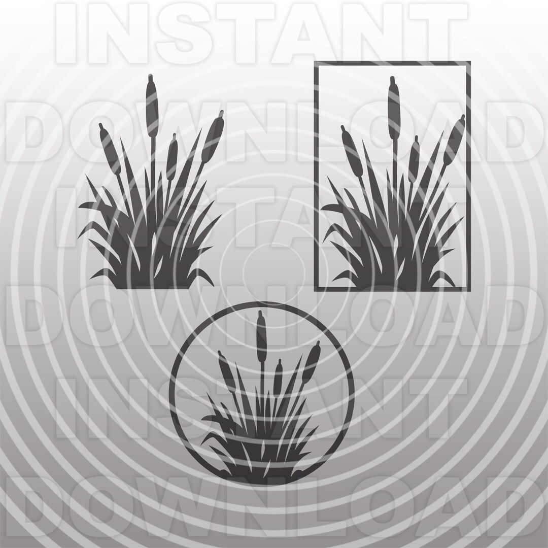 Cattails SVG File,lake Svg,river Svg,marsh Svg,aquatic Plants Svg ...