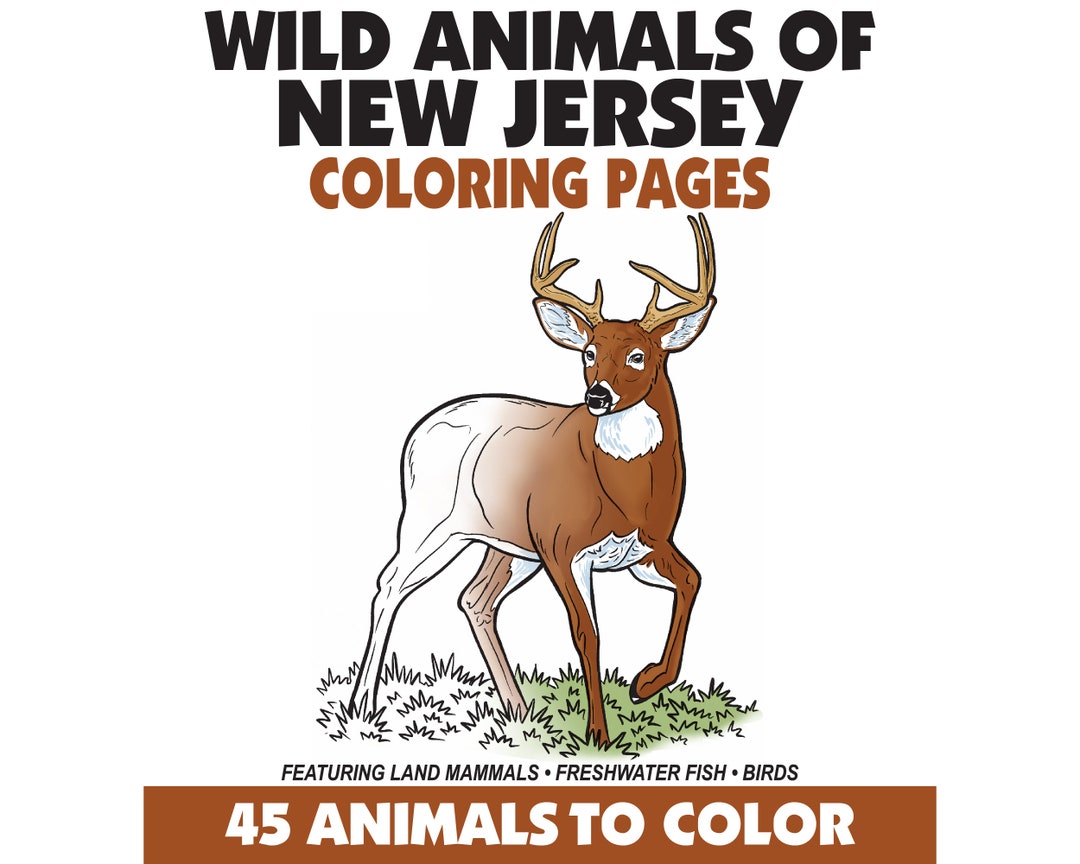 45 Wild Animals of New Jersey Coloring Pages Book,fish + Birds ...