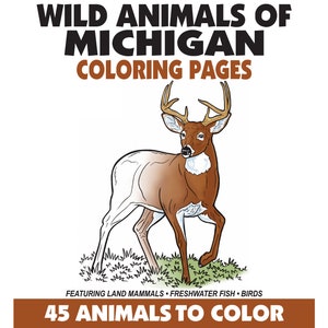 45 Wild Animals of Michigan Coloring Pages Book,fish + Birds + Mammals ...