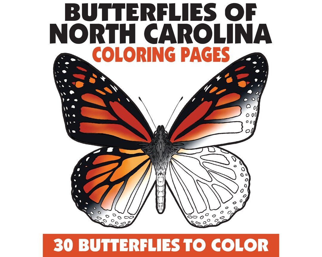 30 Butterflies of North Carolina Coloring Pages Book,butterfly Coloring ...