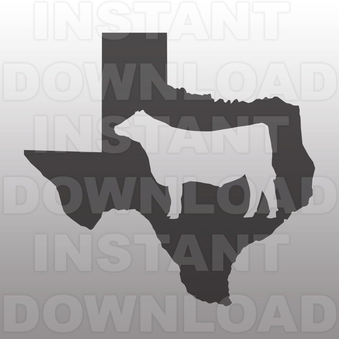 Show Steer Svg File - Livestock Svg - Cattle Svg - Vector Clip Art for ...