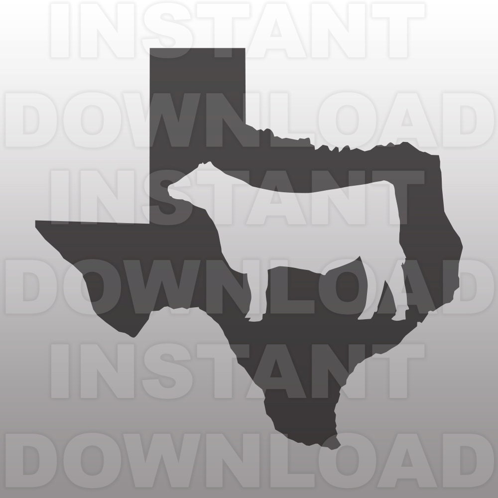 Show Steer Svg File Livestock Svg Cattle Svg Vector Clip - Etsy Hong Kong