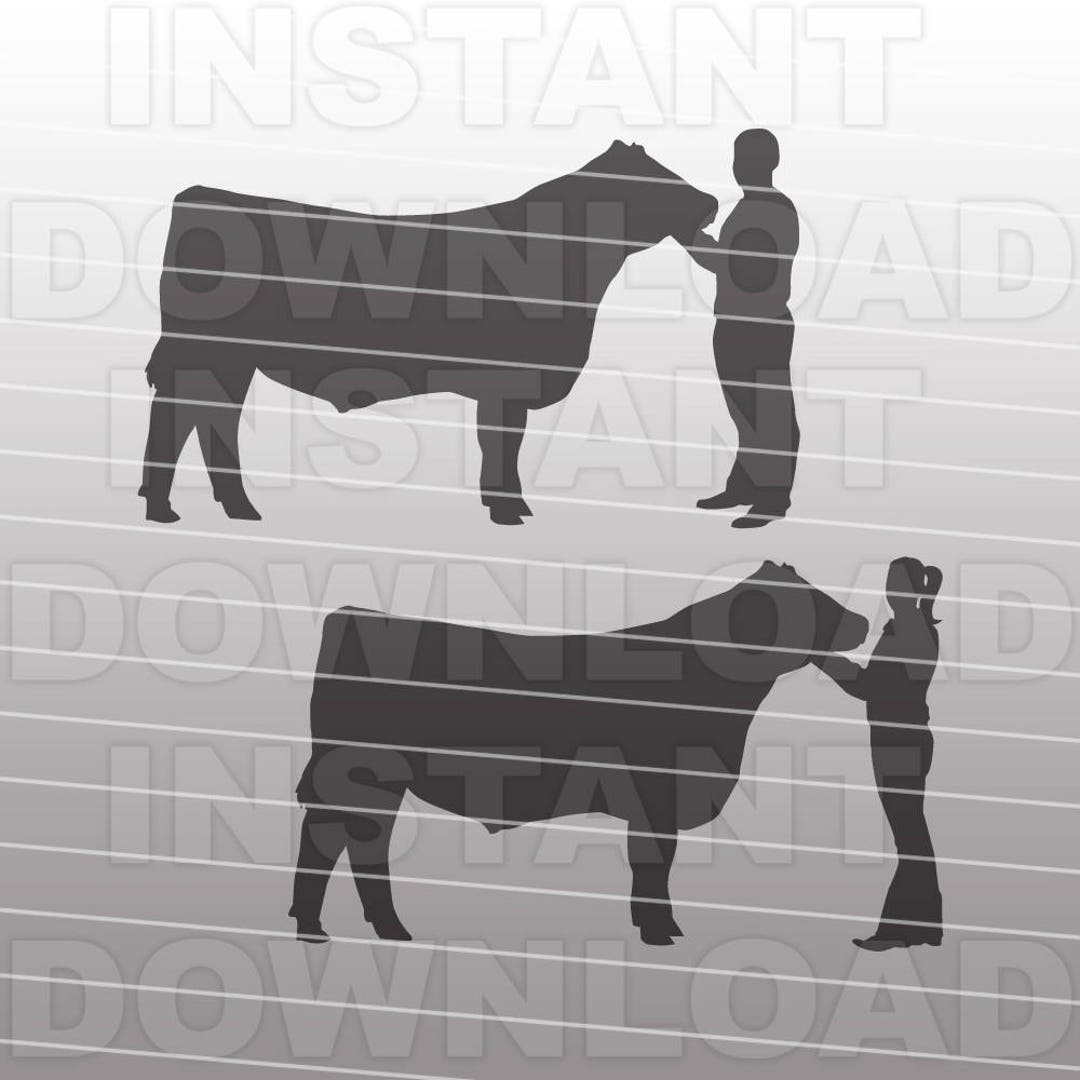 Show Steer Svg,stock Show Svg,livestock Judging SVG File - Vector Art ...