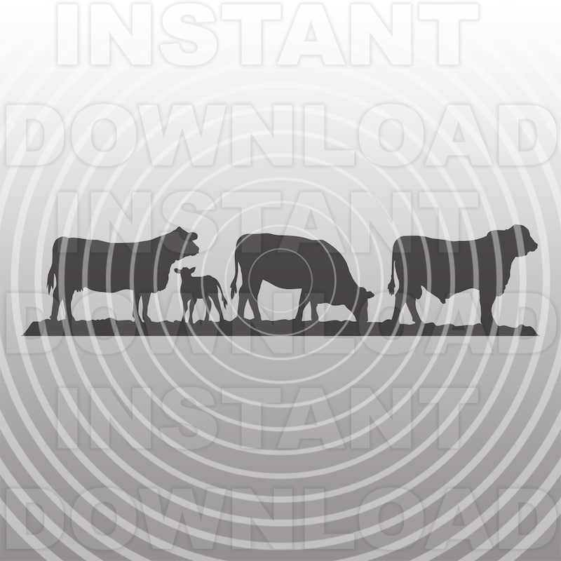 Cattle Svg - Etsy