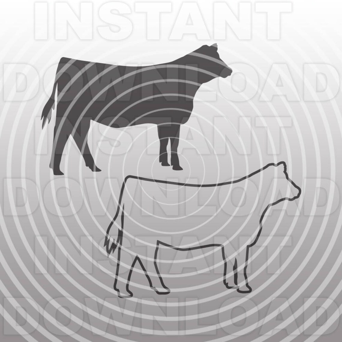 Show Heifer SVG File,stockshow Svg,cow Svg,livestock SVG -vector Ar ...