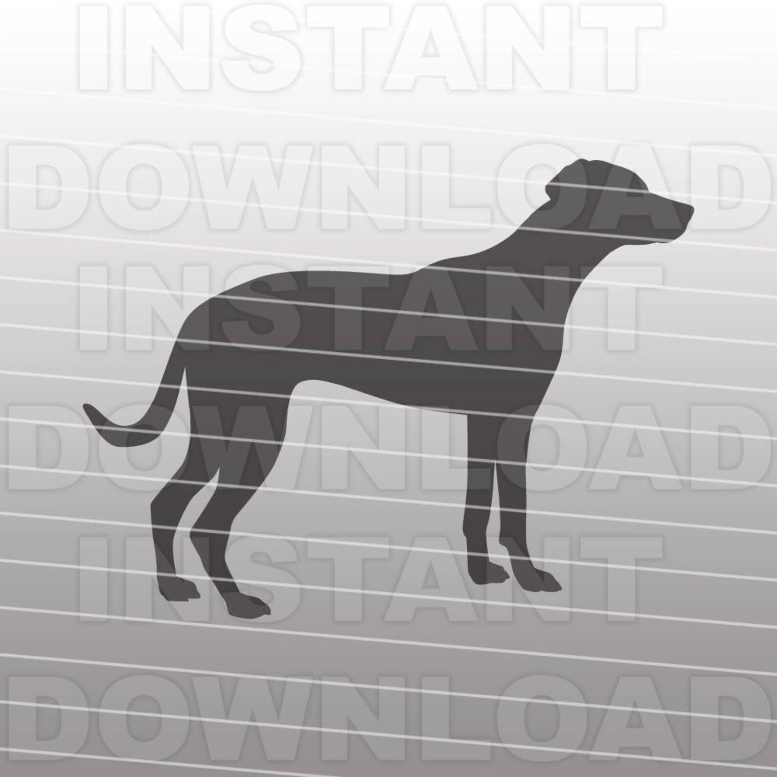 Labrador Retriever SVG File Dog SVG File Vector Clip Art - Etsy Sweden