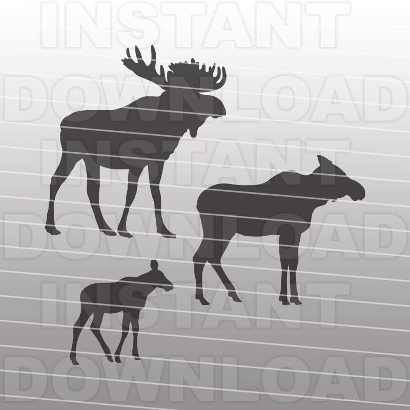 Moose Svg - Etsy