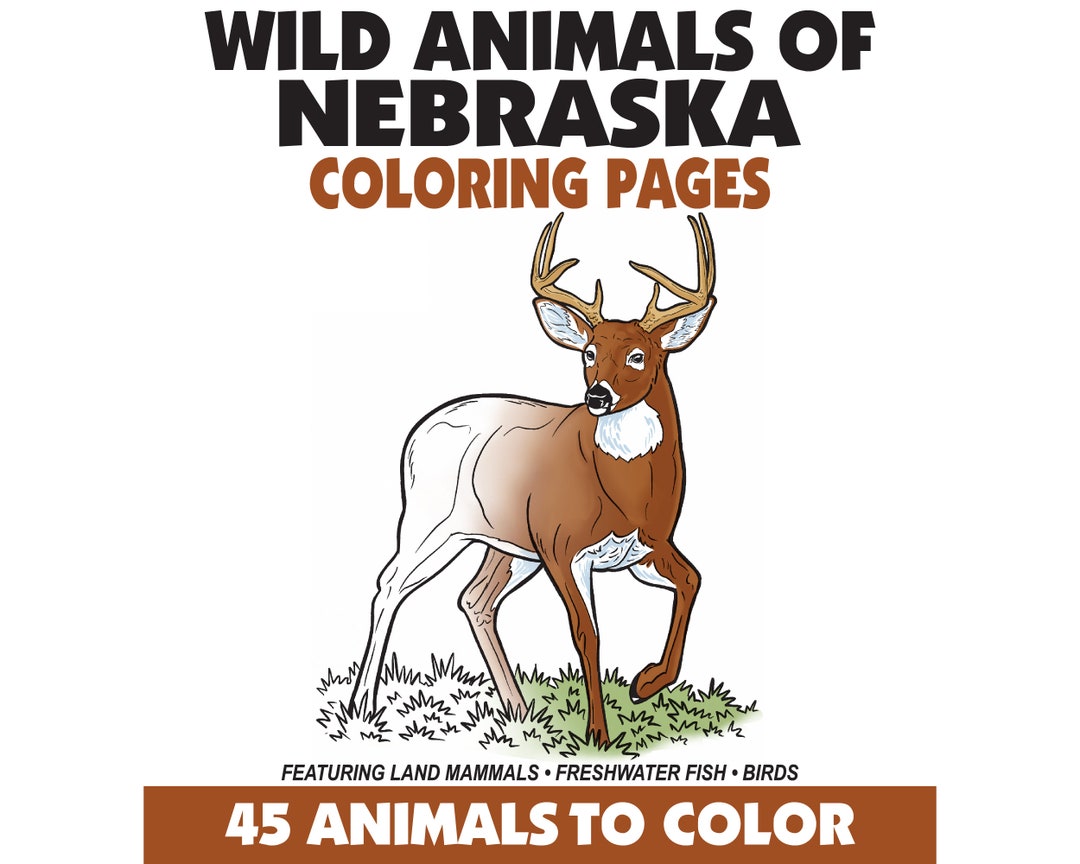 45 Wild Animals of Nebraska Coloring Pages Book,fish + Birds + Mammals ...