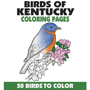 50 Birds of Kentucky Coloring Pages Book,birdwatching Coloring Pages ...