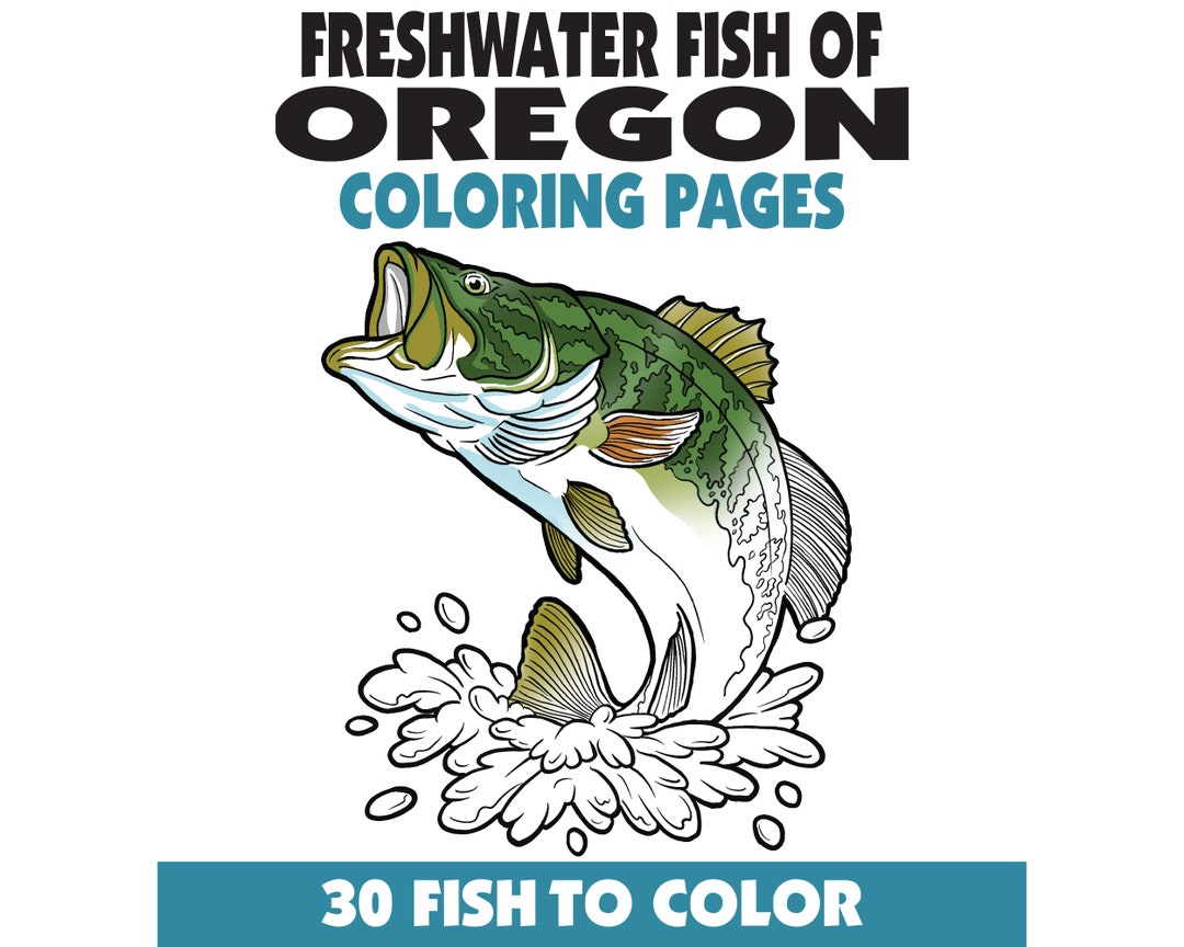 30 Freshwater Fish of Oregon Coloring Pages Book, Fishing Coloring ...