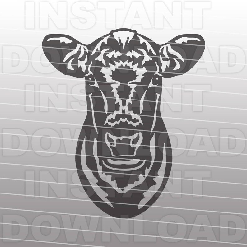 Show Heifer Face SVG File,cow SVG File,show Life SVG File-cutting File ...
